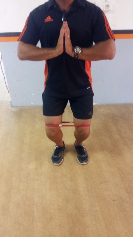 Sports Injury Bulletin - Anatomy - Masterclass: Femoro-acetabular ...