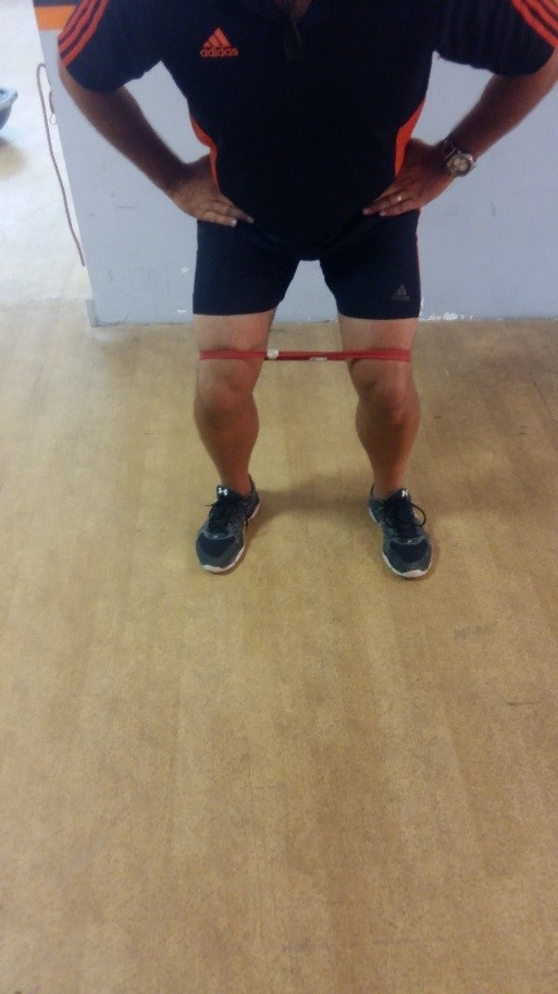 Sports Injury Bulletin - Anatomy - Masterclass: Femoro-acetabular ...