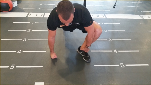 Sports Injury Bulletin - Anatomy - Adductor magnus: tales of tightness